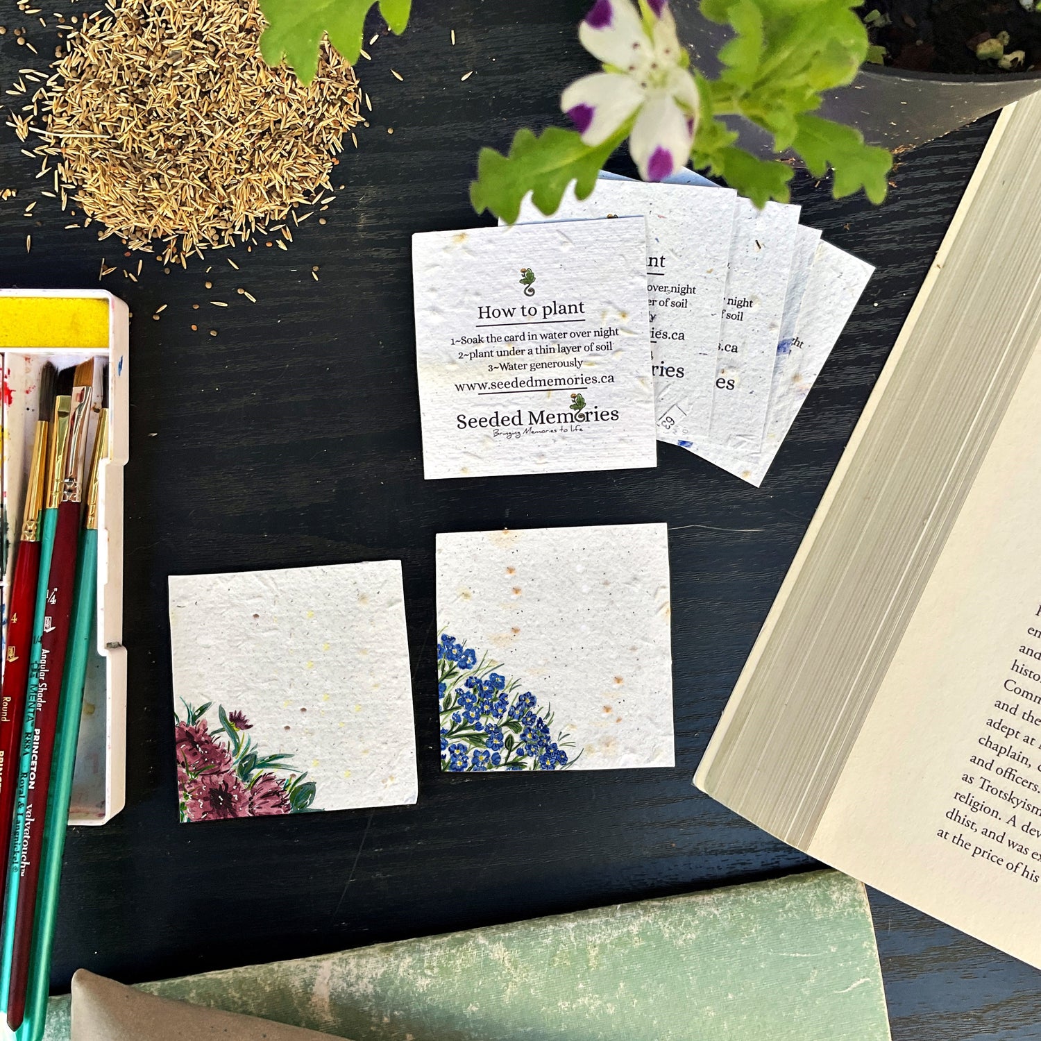 Seed Paper Cards - Seeded Memories - Bringing memories to life – SEEDED ...